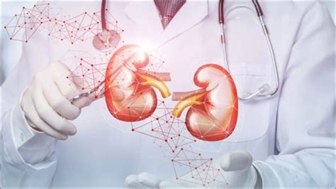 Github Shubh Shiv Ckd Prediction Using Machine Learning For Prediction Of Chronic Kidney