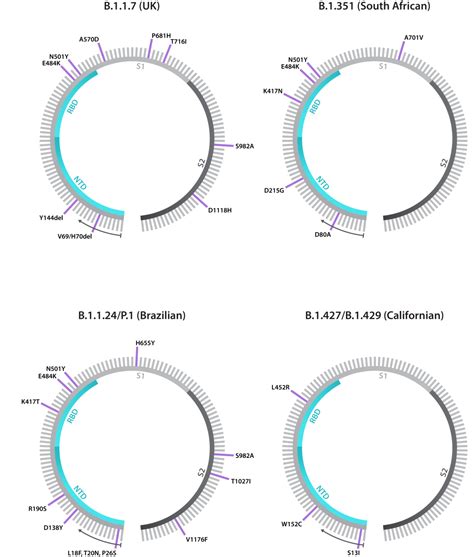 making sense of the sars cov 2 spike mutations the native antigen company