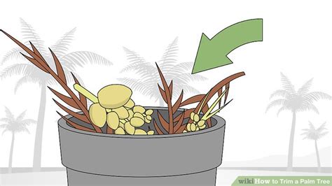 How To Trim A Palm Tree Steps With Pictures WikiHow