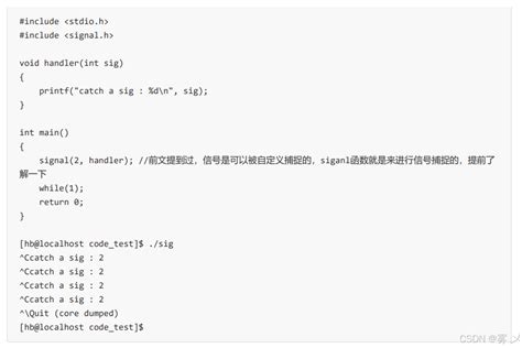 【linux】信号 csdn博客