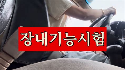Vlog 다슬기로운 운전생활 🚙 광명운전전문학원 장내기능시험 리얼 후기‼️ 아깝게 95점으로 합격 Youtube