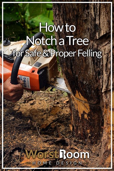 How To Notch A Tree For Safe Felling