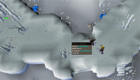 Minor Annoyance R2007scape