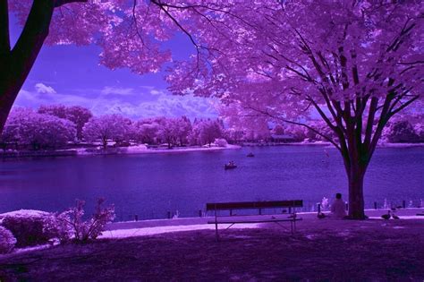 Purple Nature Wallpaper Purple Nature Images Browse 8578202