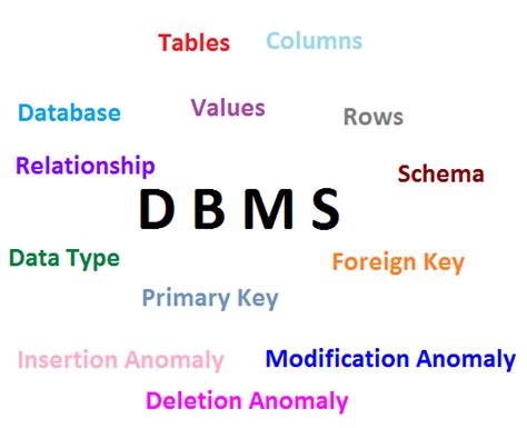 What Are The Key Responsibilities Of A Dbms Administrator