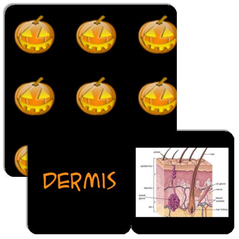 Medical Terms Match The Memory