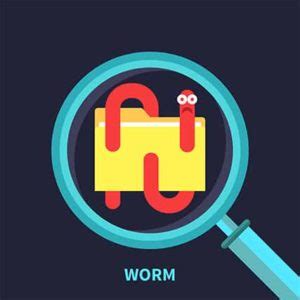 Definition Of Computer Worm How Does It Work
