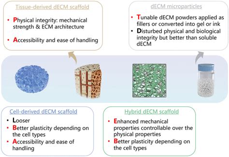 The Considerations On Selecting The Appropriate Decellularized Ecm For