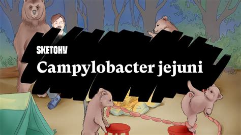 Aprende Sobre Campylobacter Jejuni Sketchy Microbiología Español