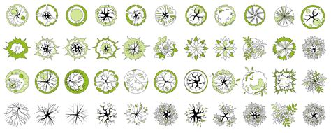 Premium Vector Trees And Plants Top View For Landscape Design Icon Set Foliage Grass For