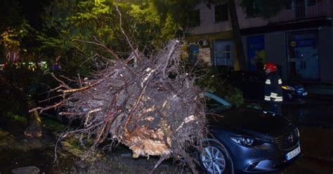 ბათუმში ძლიერმა ქარმა კორპუსებს სახურავი გადახადა და ხეები მოგლიჯა