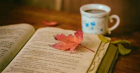 Scene Vs Sequence Vs Act ~ September C Fawkes Editor And Writer