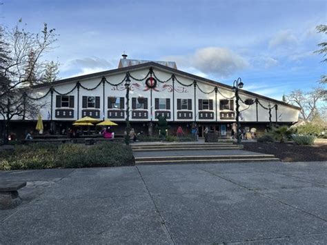 Snoopys Home Ice Redwood Empire Ice Arena Updated May 2025 217