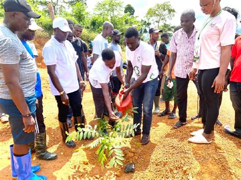 Akyem Tumfa Begins Major Land Restoration With 1000 Tree Seedling Donation