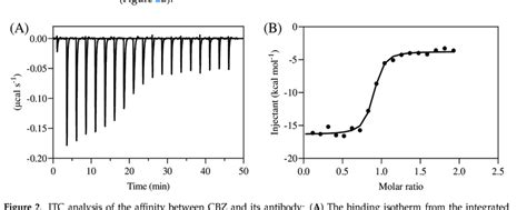 Itc Analysis Of The Affinity Between Cbz And Its Antibody A The Download Scientific Diagram