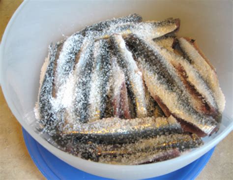 Preserved Food Examples