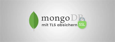 TLS Sicherheit für MongoDB Umfassende Anleitung zur Verschlüsselung