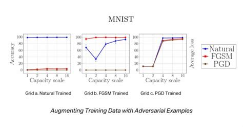 Four Defenses Against Adversarial Attacks Imerit