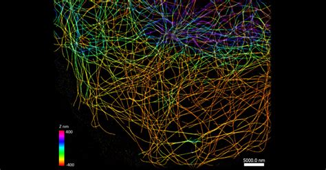 Overview Of Single Molecule Localization Microscopy Smlm Oxford