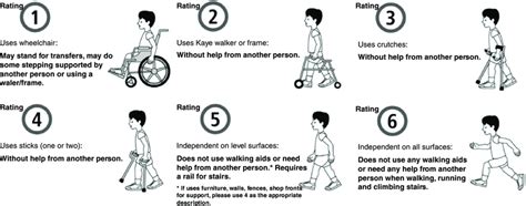 Functional Mobility Scale Fms Classification Patients Rated At 5 M