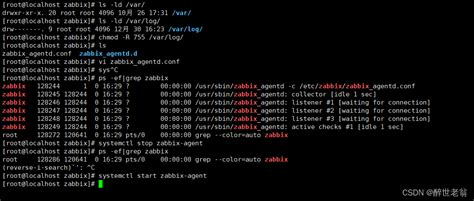 Centos7 Zabbix Agent 安装完systemctl 启动失败 13 Permission Deniedsystemctl