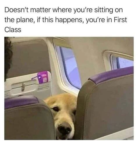 Sun Sand And Self Deprecation 45 Vacation Memes That Prove Even