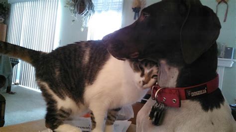 Steele Ing Your Heart Emmy Gives Ruby Rubs