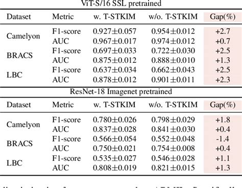Attention Challenging Multiple Instance Learning For Whole Slide Image Classification