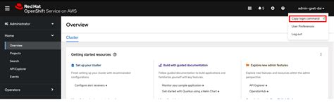 Getting Started With Runtime Fabric On Red Hat Openshift Mulesoft Developers