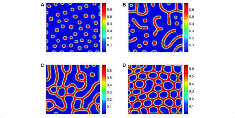 Vegetation Pattern Structure Under Different Shading Rates ρ A Hot Download Scientific