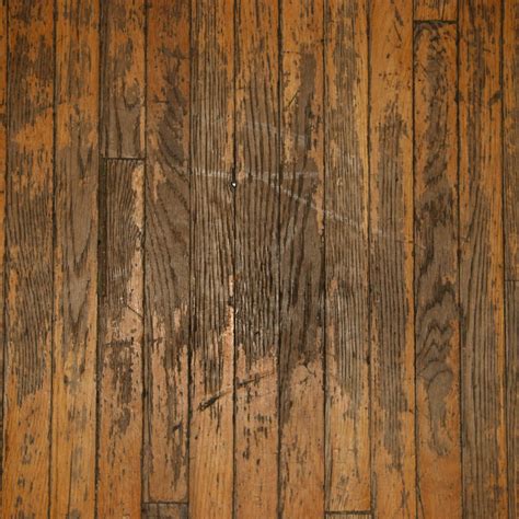 Water Mitigation Outline Day 1