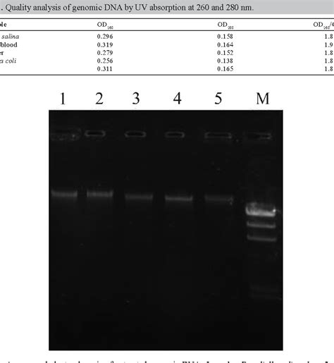 Table 1 From A Simplified Universal Genomic Dna Extraction Protocol Suitable For Pcr Semantic