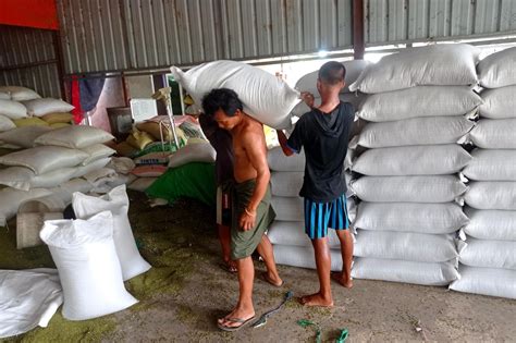 မင်းဘူးမြို့တွင် ပဲတီစိမ်း တစ်နေ့လျှင် တင်း ၁၀၀၀၀ ကျော် ဝင်ရောက်သော်လည