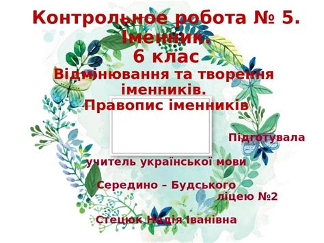 Контрольна робота Іменник 6 клас Презентація Українська мова