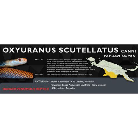 Papuan Taipan Oxyuranus Scutellatus Canni Standard Vivarium Label Cloud Forest Design