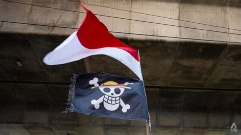 From Straw Hats To Street Protests What The One Piece Flag Tells Us