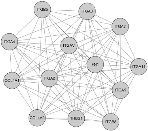 Result For Module Analysis Itga Integrin Subunit α Itgb Integrin Download Scientific