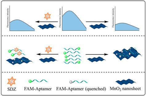 Biosensors Special Issue Bioassays And Biosensors For Rapid