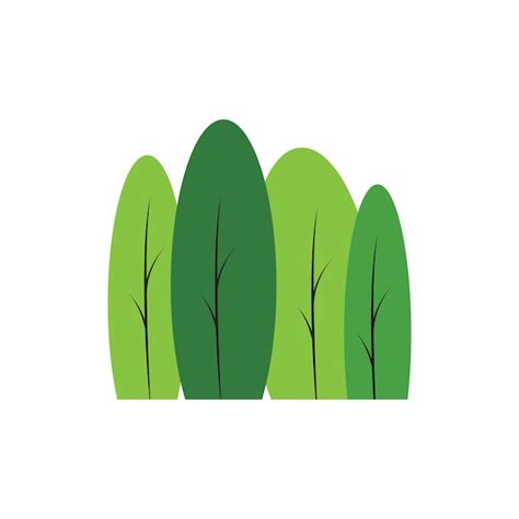 Premium Vector Bush Vector Illustration Flat Bush Vector On White