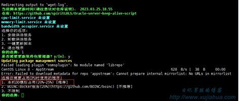how to keep the oracle vps server alive keep alive script