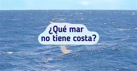 14 Preguntas Escolares Que Pueden Desconcertar Incluso Al Alumno Más