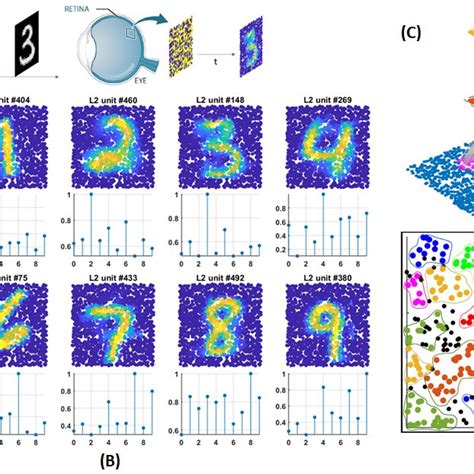 Unsupervised Learning Of Self Organized Networks A Schematic Of Download Scientific Diagram