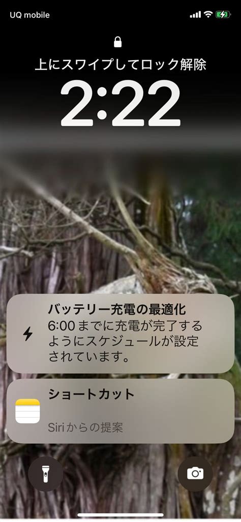 本日のゾロ目 徒然なるママ雑多日記