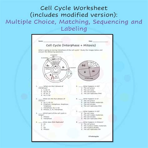 Cell Cycle Worksheets Interphase And Mitosis Practice Differentiated