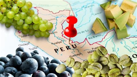 Perú Estas Son Las Empresas Que Más Agroexportaron En 2022