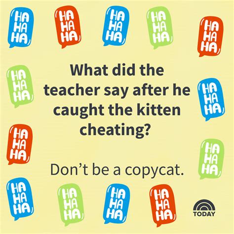 50 Funny Cat Jokes That Are Totally Paw Some