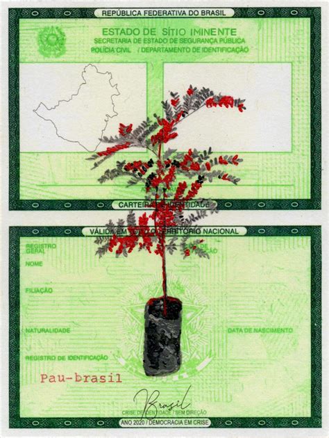 Hal Wildson Prêmio Pipa