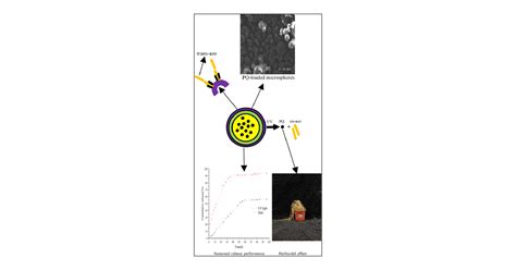 β Cyclodextrin Azobenzene Microspheres Loaded With Paraquat Are Safe And Effective Langmuir