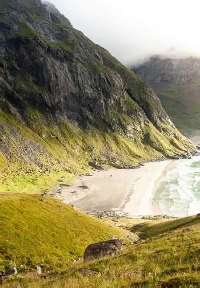 박카스 D와 F 어떤 차이일까 효능 비교와 선택법 쉐이디레이크