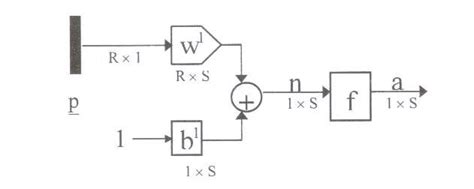 Single Layer Network With S Neurons Download Scientific Diagram
